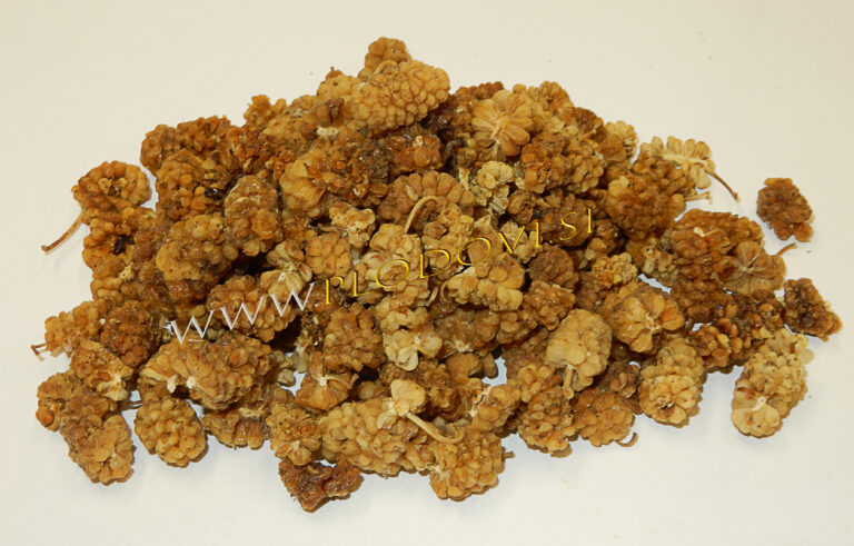 BIO – MURVE (suhe) – Plodovi